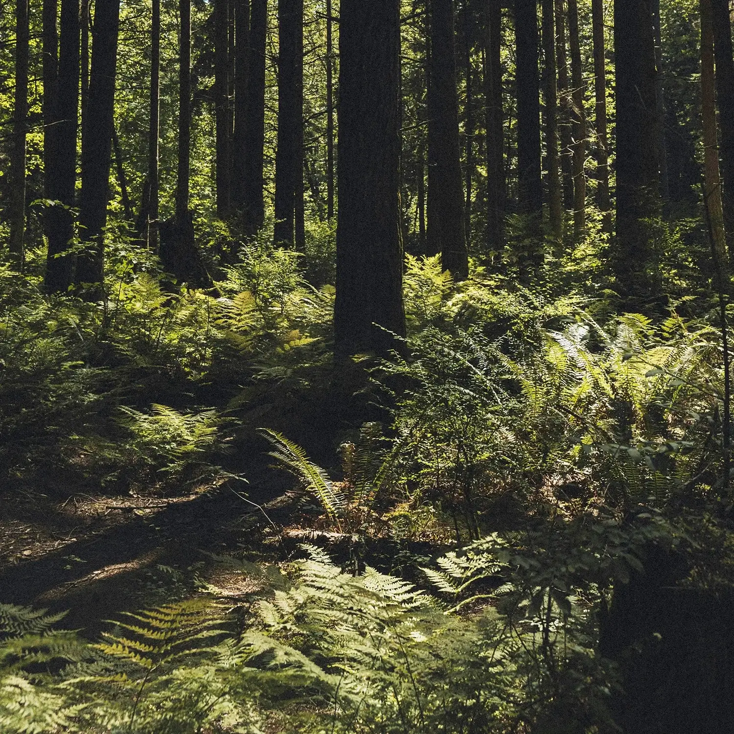 Sectors - Blackwell