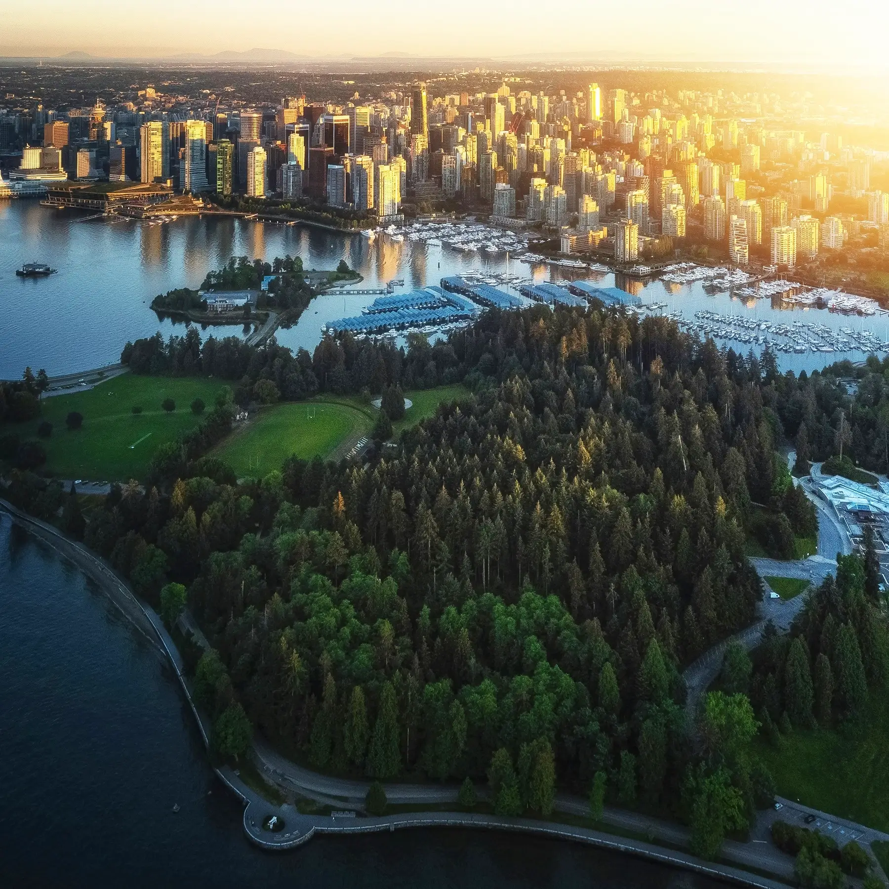 Stanley Park Case Study - Blackwell